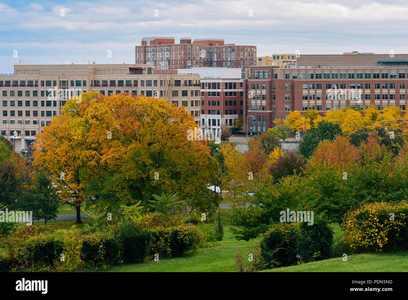 Fall foliage and modern buildings in Alexandria, Virginia Stock Photo ...