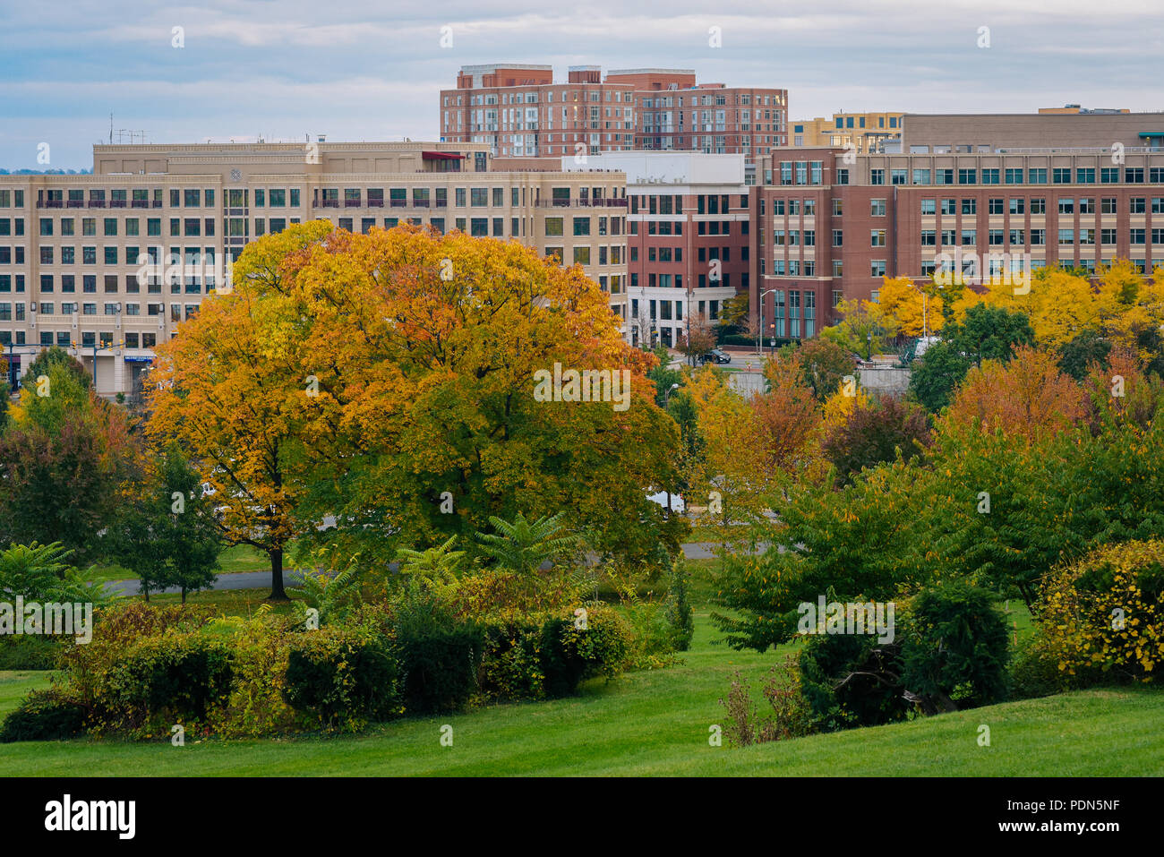Fall foliage and modern buildings in Alexandria, Virginia Stock Photo ...
