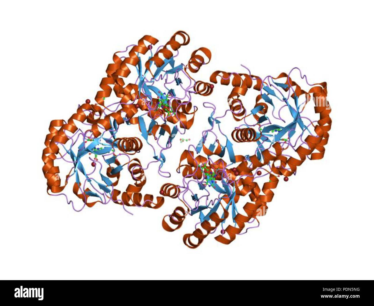 Structural configurations hi-res stock photography and images - Alamy