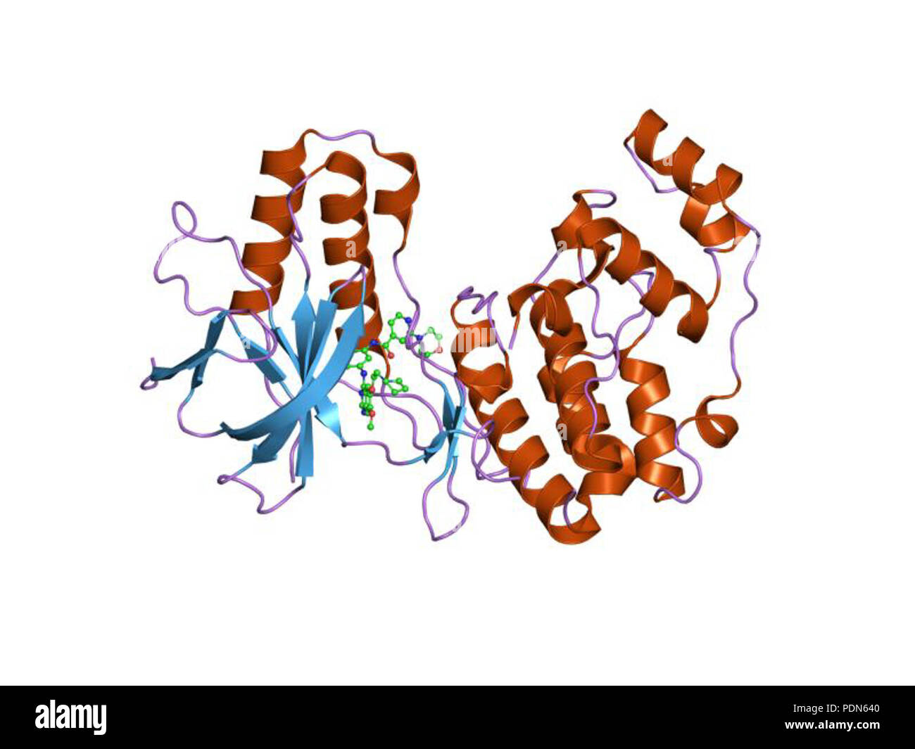 Content referencing hi-res stock photography and images - Alamy