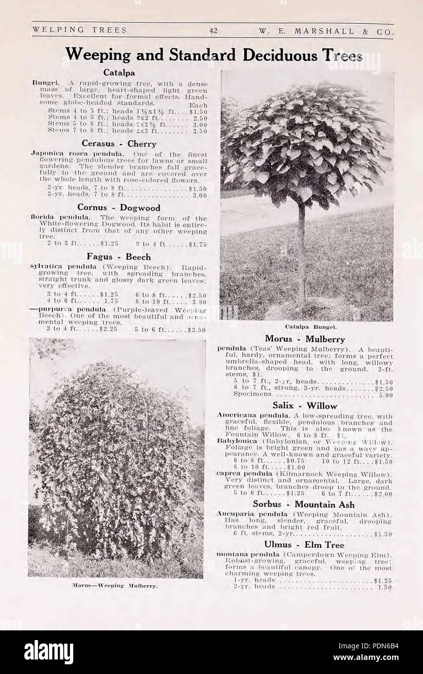 Spring catalogue hi-res stock photography and images - Alamy