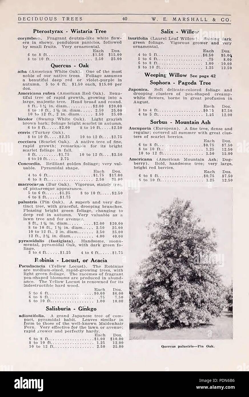 Annual spring catalogue Stock Photo - Alamy