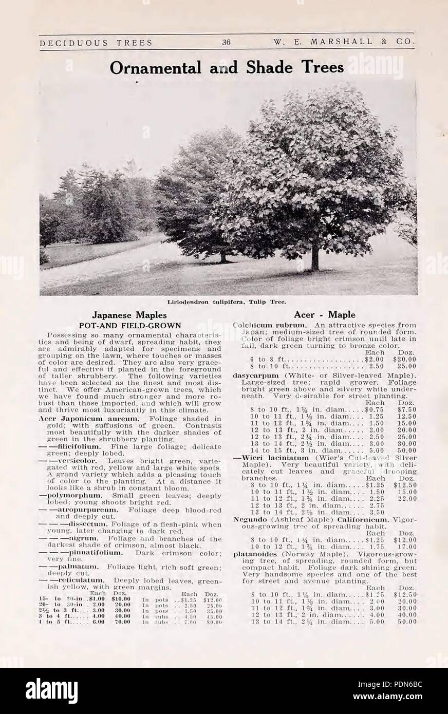 Annual spring catalogue Stock Photo - Alamy