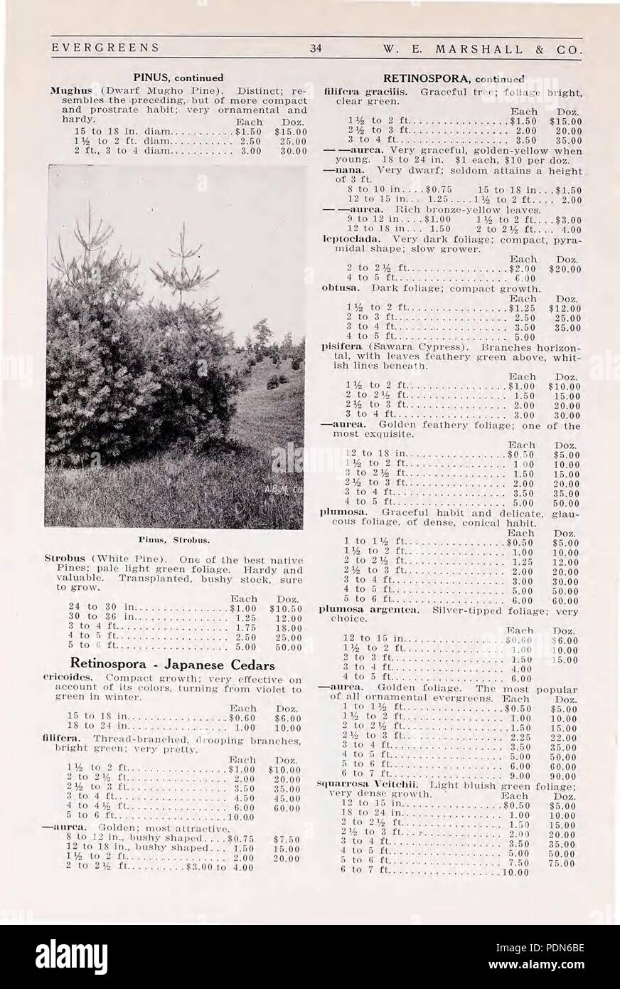 Spring catalogue hi-res stock photography and images - Alamy