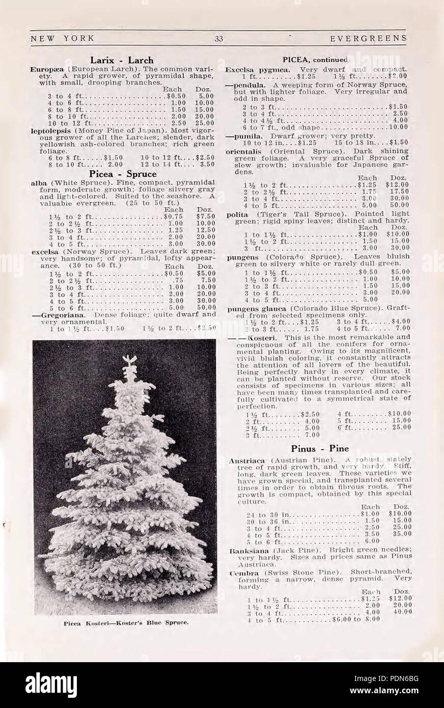 Annual spring catalogue Stock Photo - Alamy