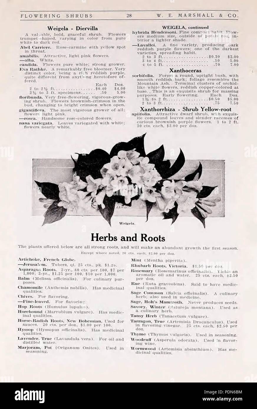 Annual spring catalogue Stock Photo - Alamy