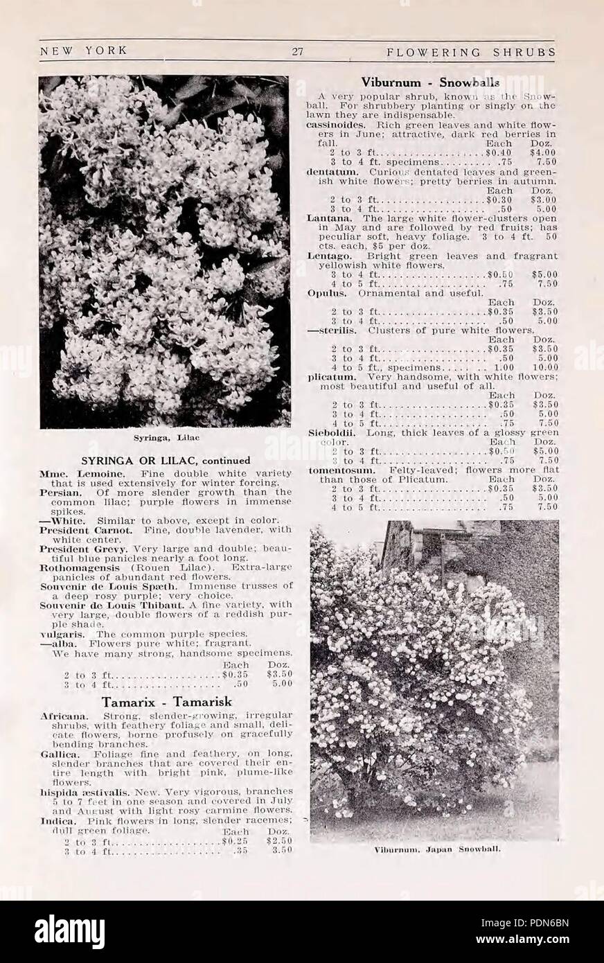 Annual spring catalogue Stock Photo - Alamy