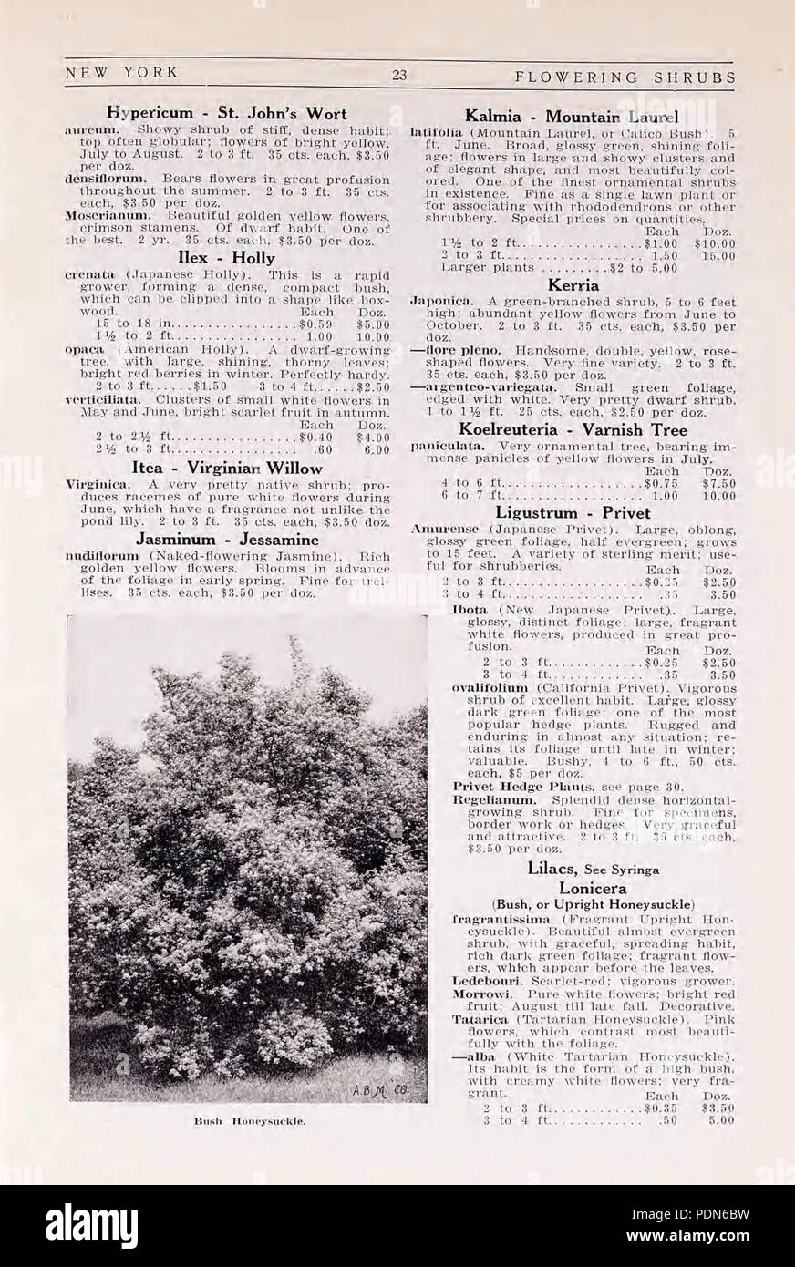 Annual spring catalogue Stock Photo - Alamy