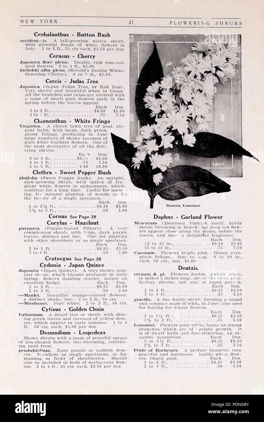 Annual spring catalogue Stock Photo - Alamy