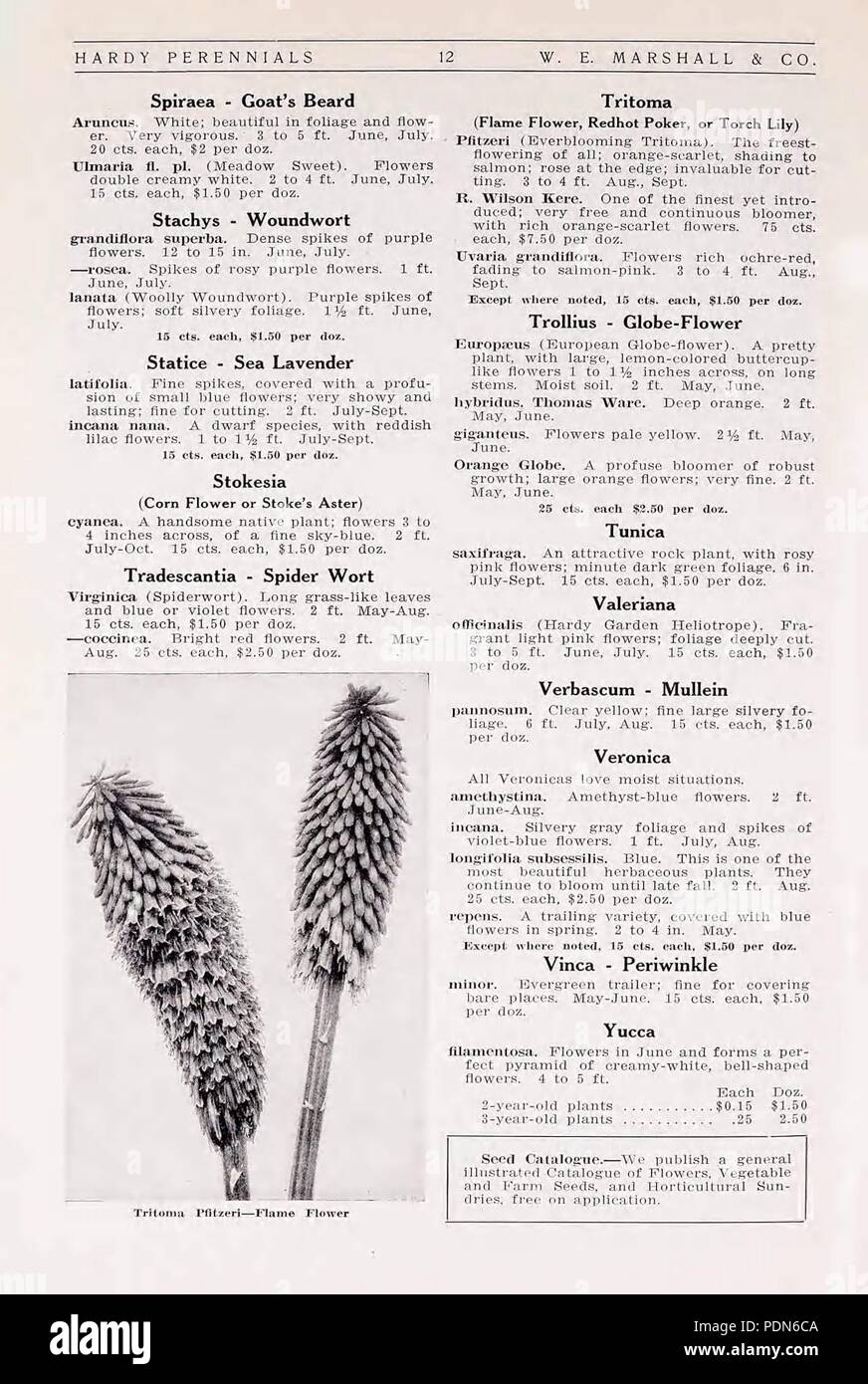 Annual spring catalogue Stock Photo - Alamy