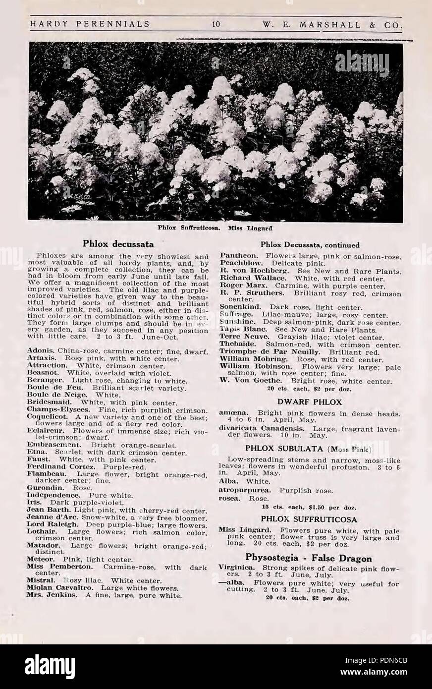 Spring catalogue hi-res stock photography and images - Alamy