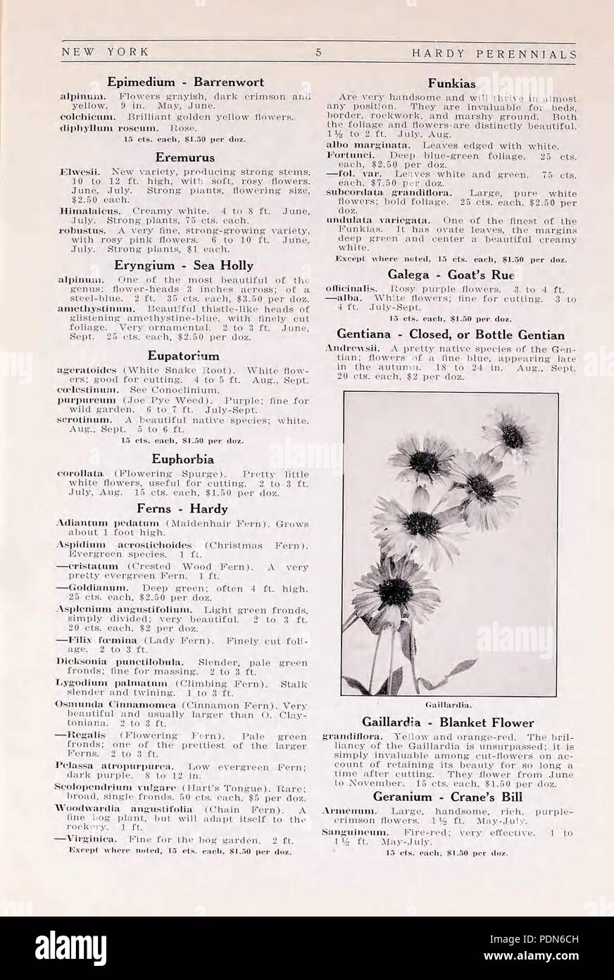 Annual spring catalogue Stock Photo - Alamy