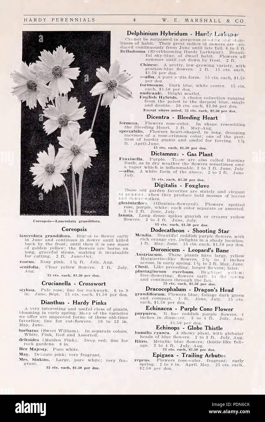 Annual spring catalogue Stock Photo - Alamy