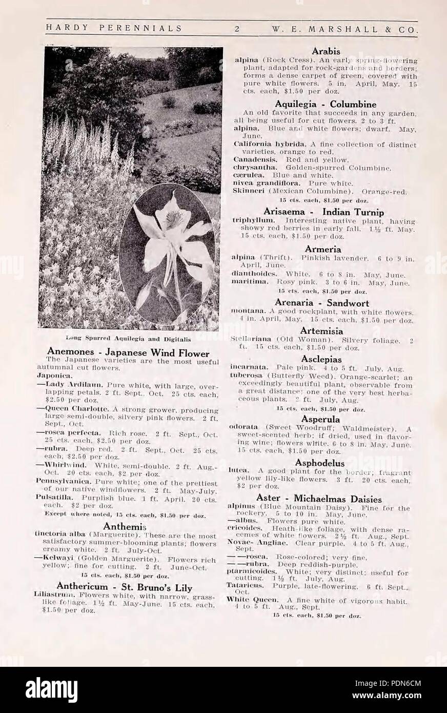 Annual spring catalogue Stock Photo - Alamy