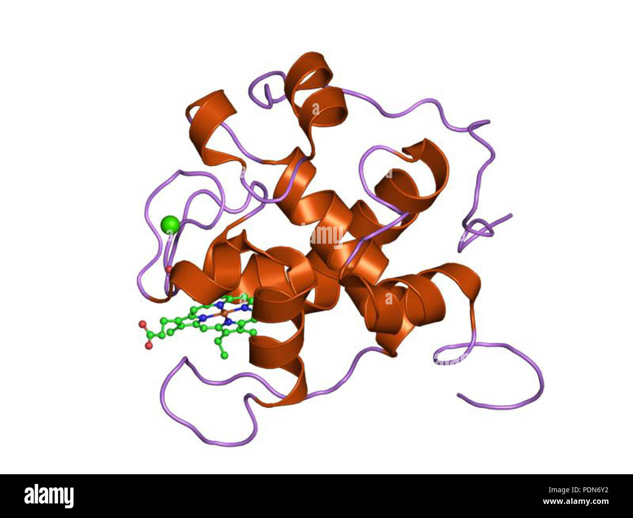 169 PDB 2c8s EBI Stock Photo - Alamy