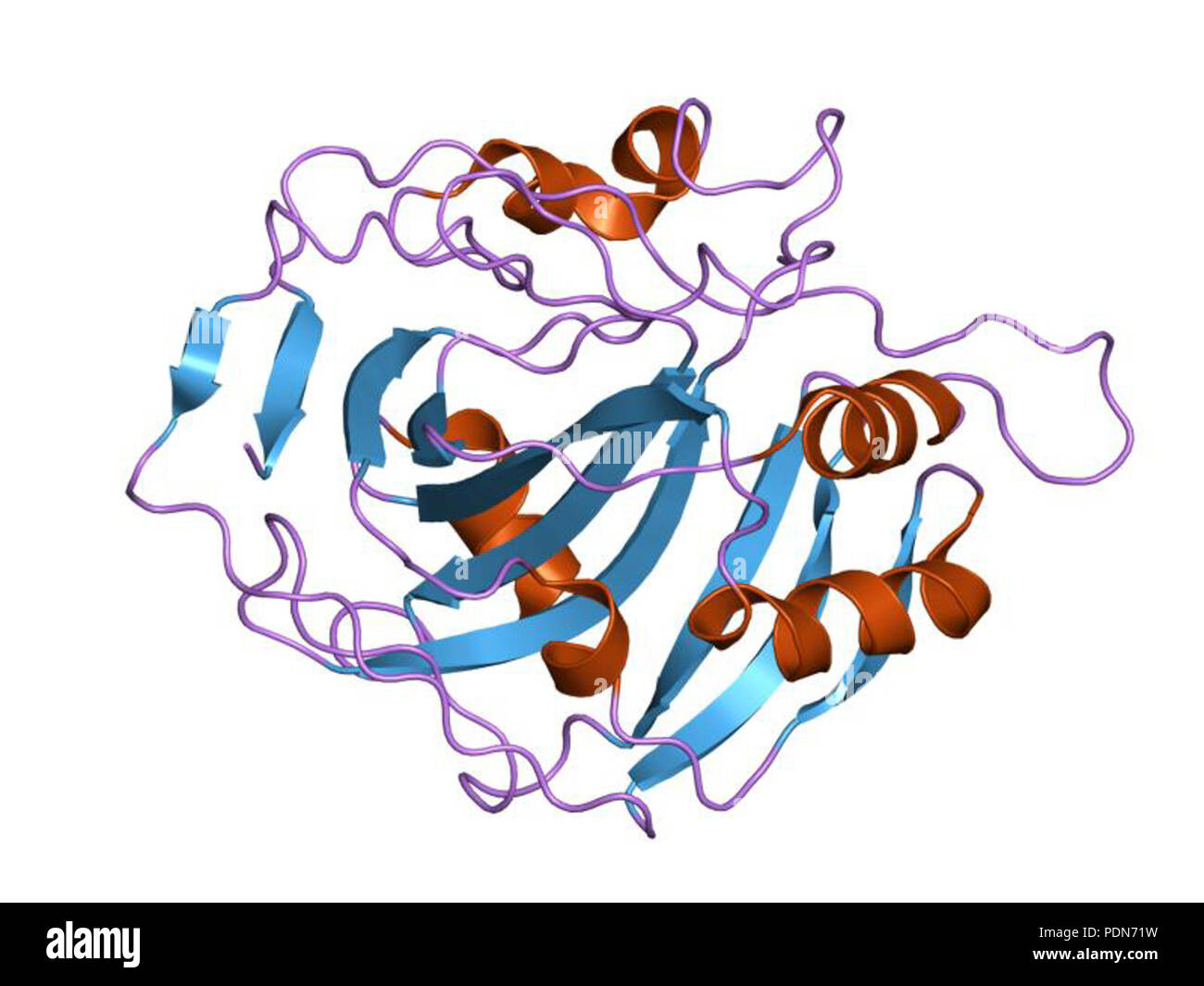 2cab Cut Out Stock Images & Pictures - Alamy