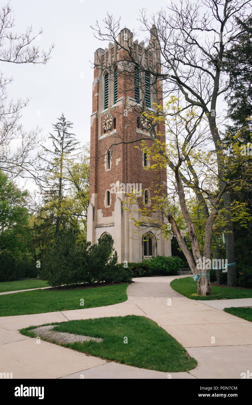 Michigan State Campus