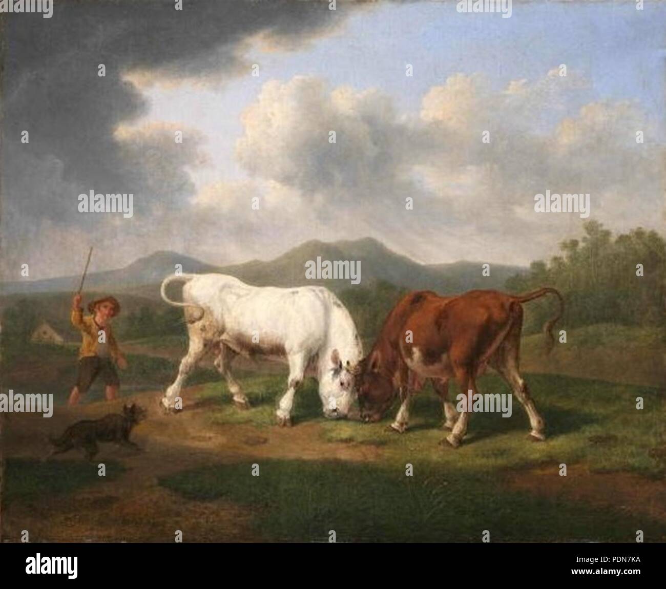 Byci hi-res stock photography and images - Alamy