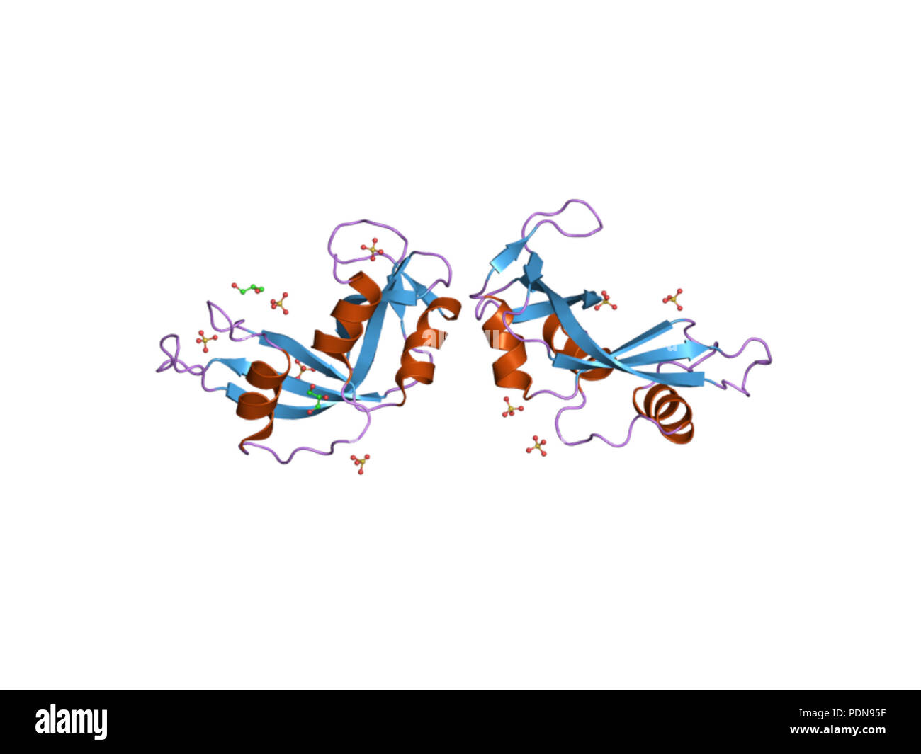Scientificclassification hi-res stock photography and images - Alamy