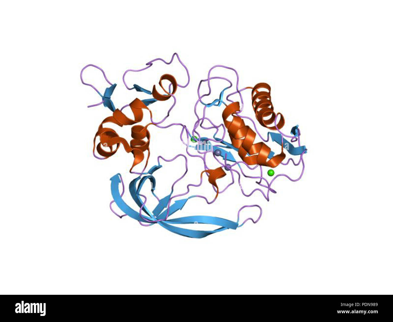 Wwii military record Cut Out Stock Images & Pictures - Alamy