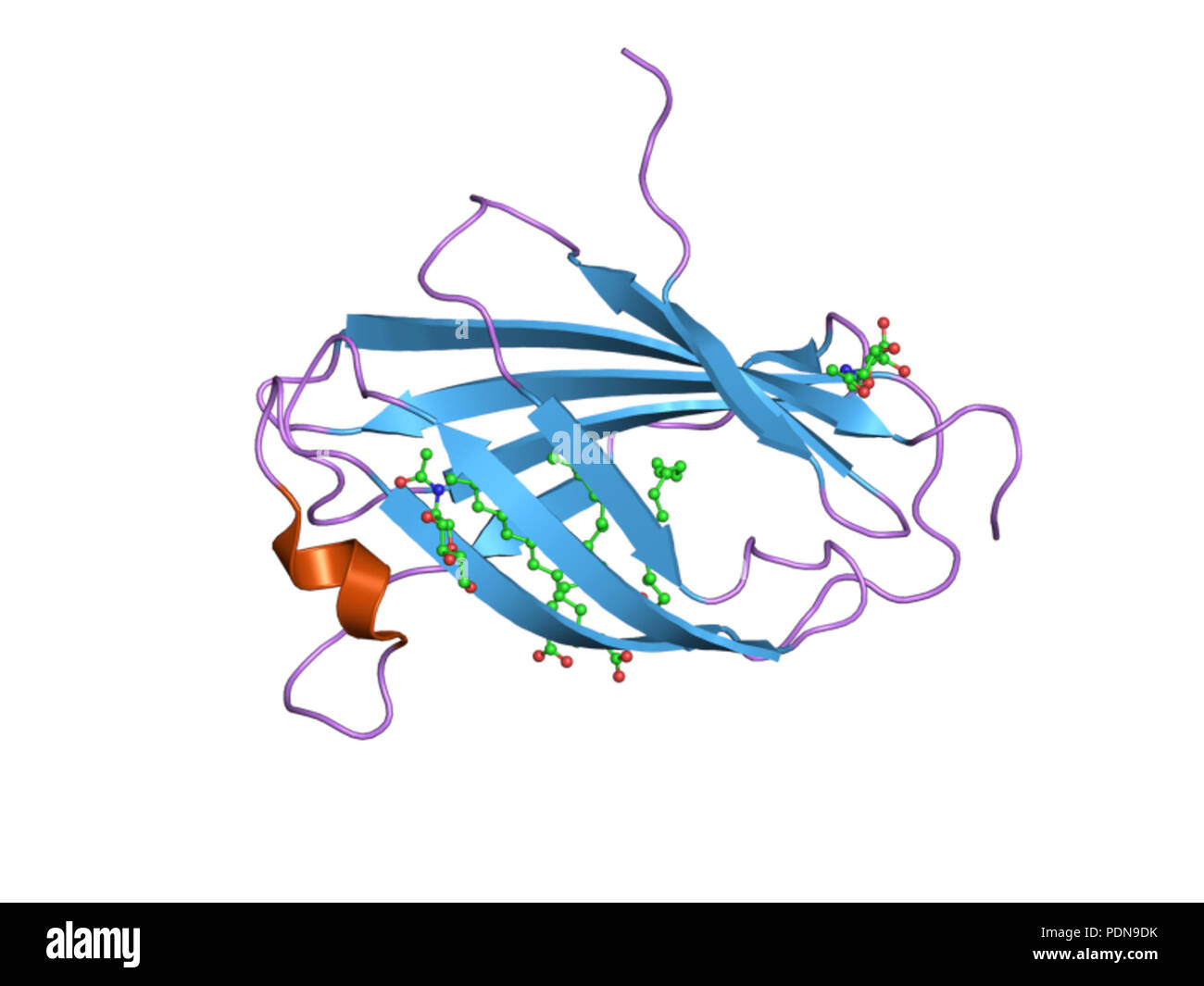 180 PDB 2e56 EBI Stock Photo - Alamy