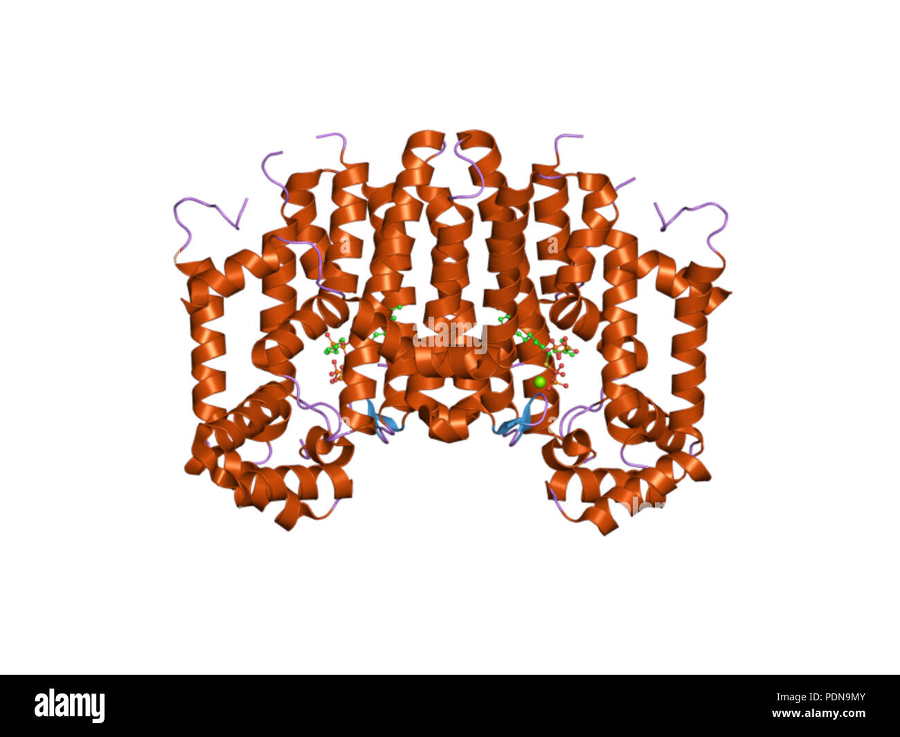 Century planning Cut Out Stock Images & Pictures - Alamy