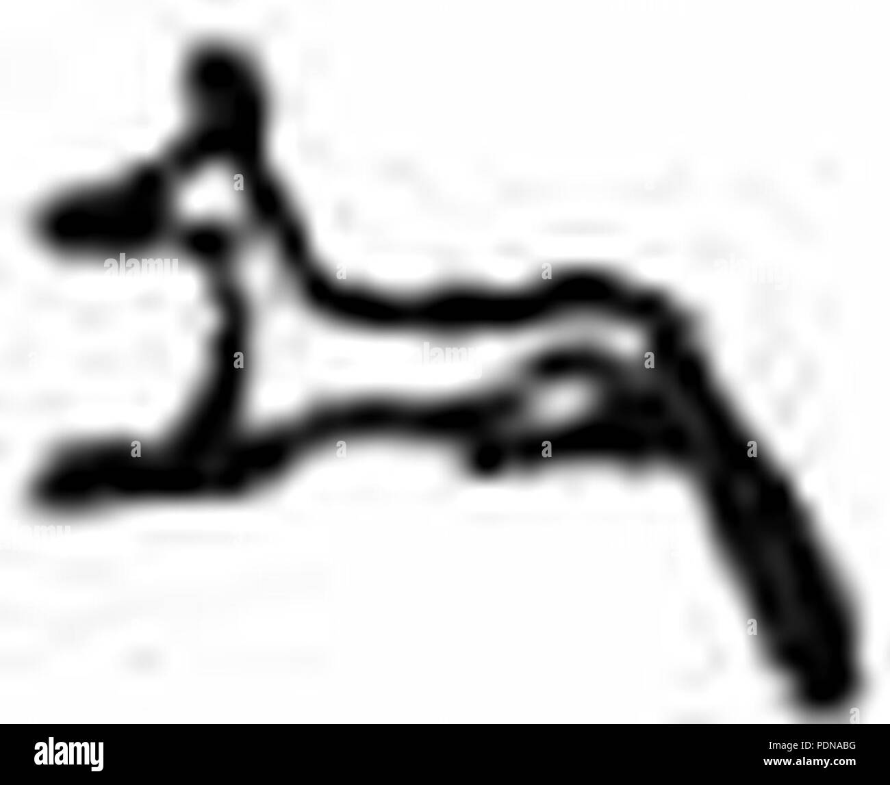 Anubis symbol 3 Stock Photo - Alamy