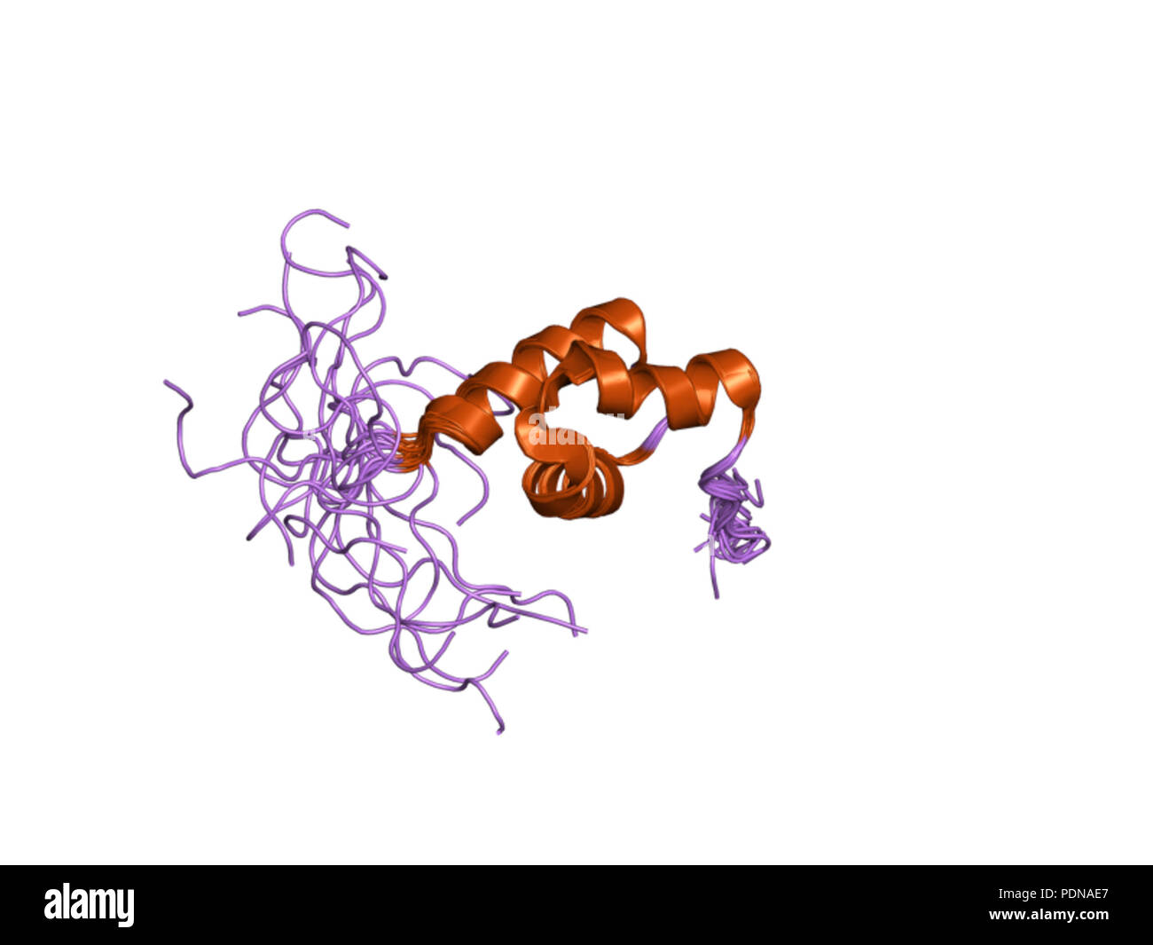Secondary notation Cut Out Stock Images & Pictures - Alamy