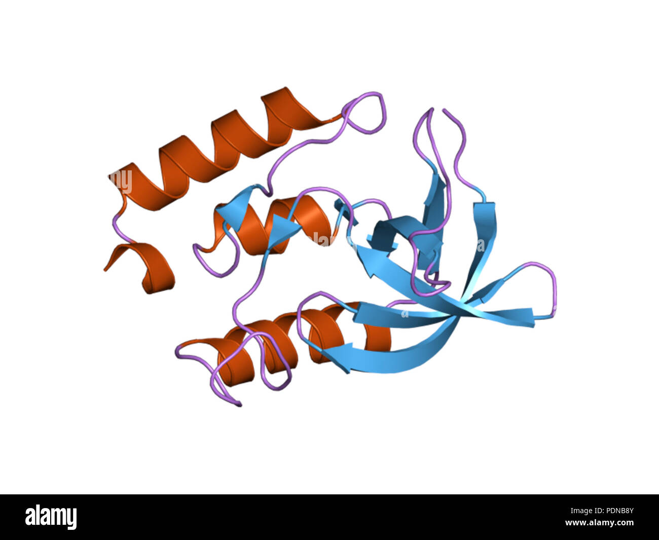 185 PDB 2f0j EBI Stock Photo - Alamy