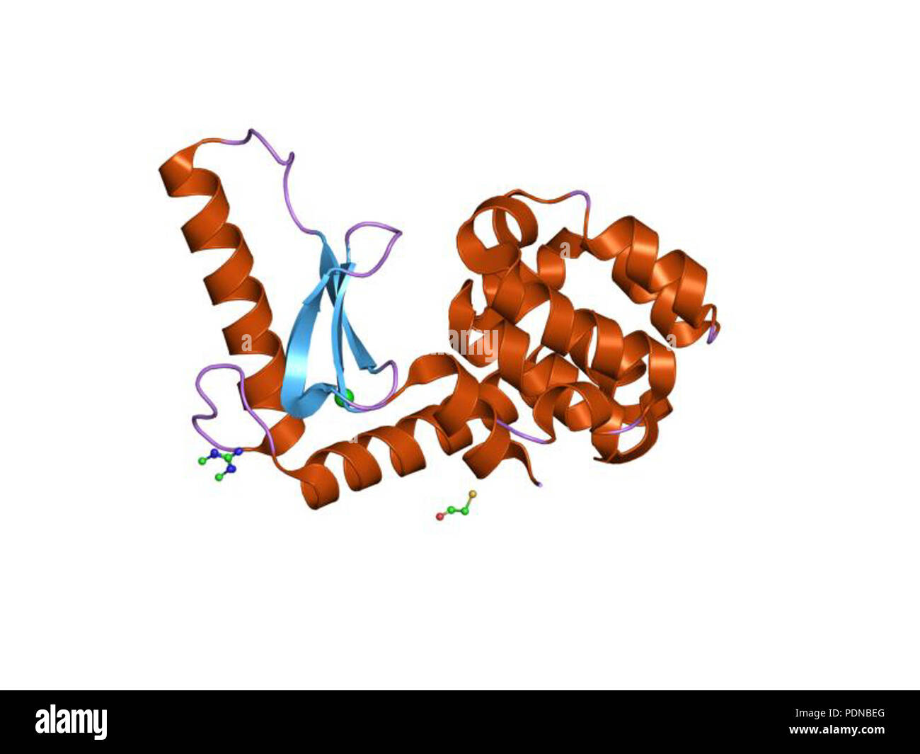 Art historical history historical archive archival Cut Out Stock Images ...