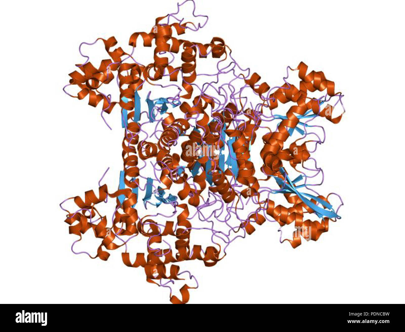 Pyruvate structure hi-res stock photography and images - Alamy