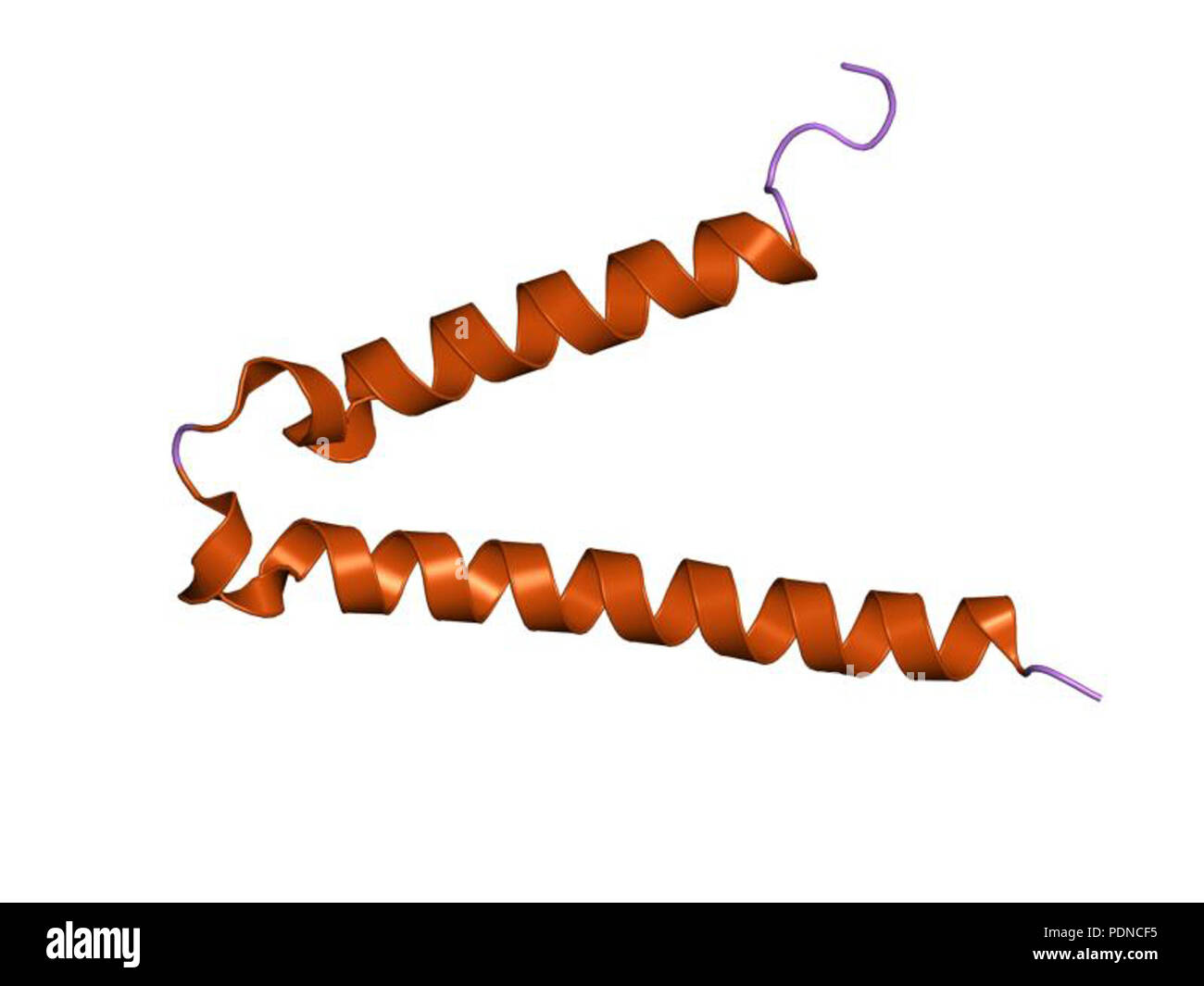 192' Cut Out Stock Images & Pictures - Alamy