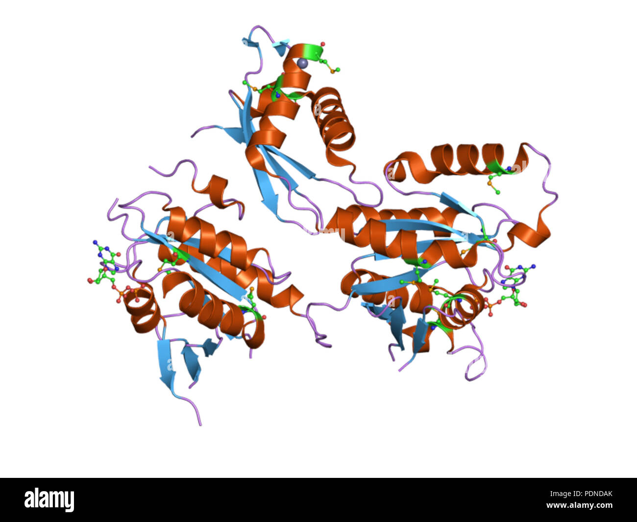 Kh domain hi-res stock photography and images - Alamy