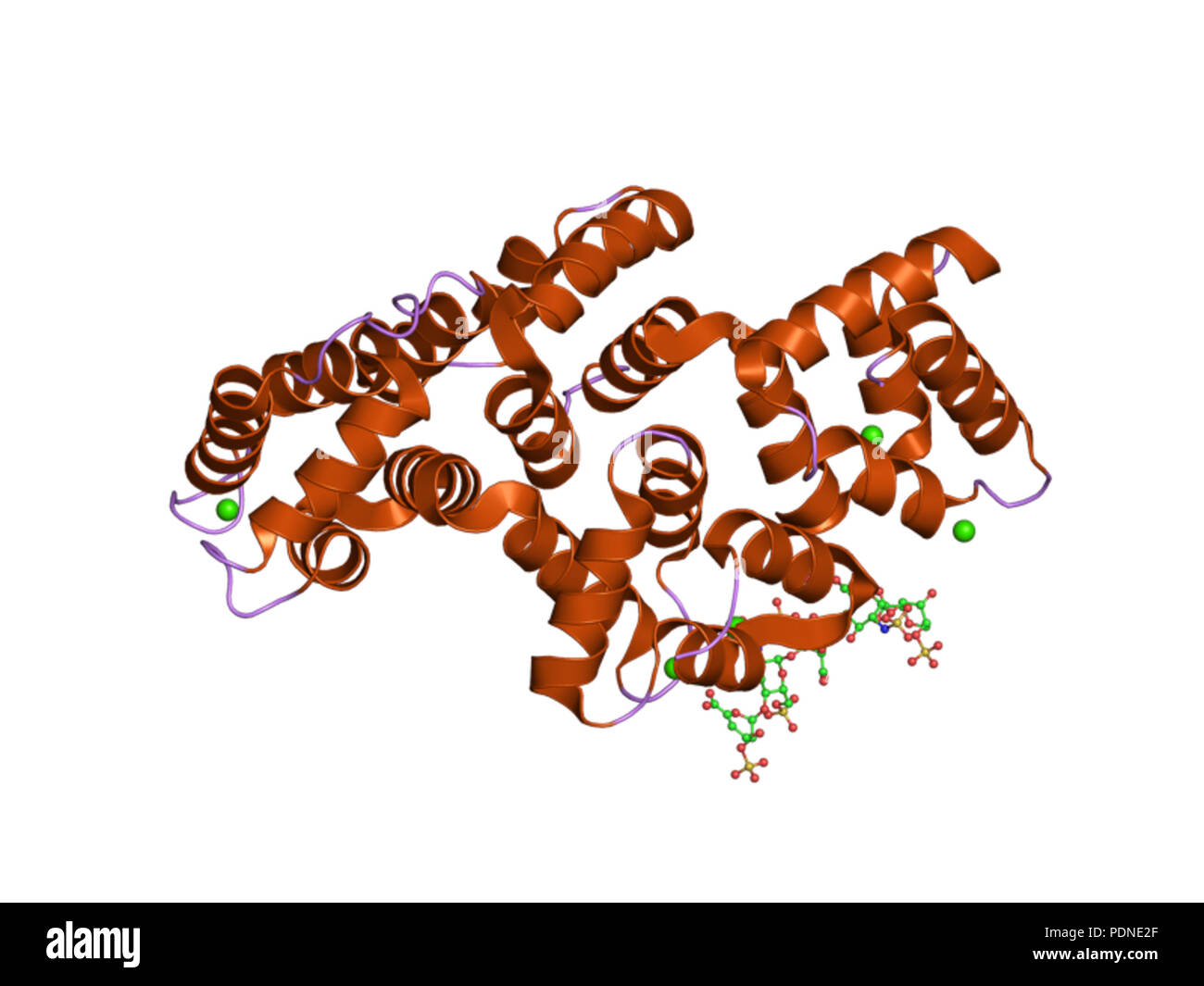Atpase crystal structure hi-res stock photography and images - Alamy