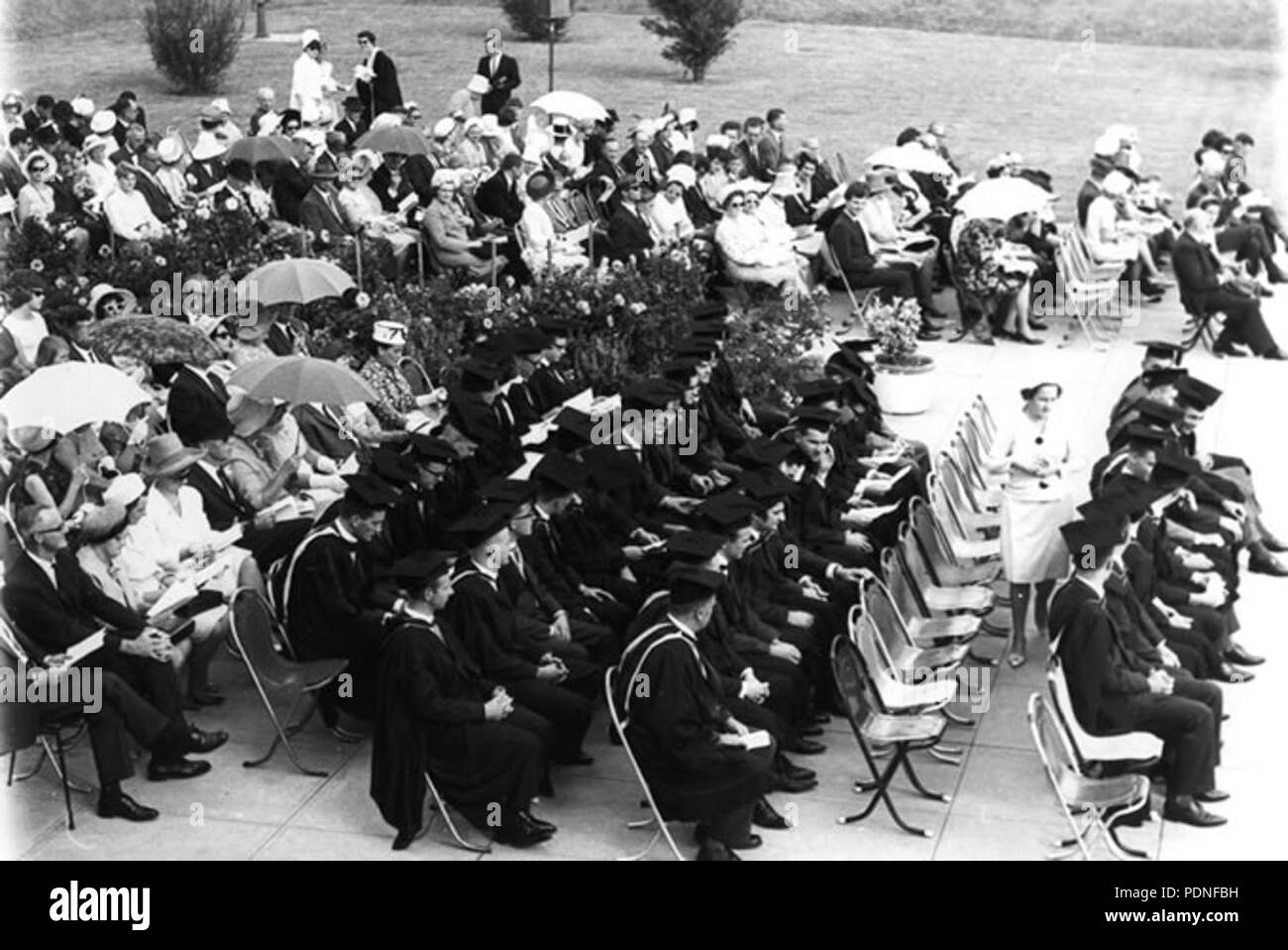 316 UOW Graduation Day in 1966 Stock Photo - Alamy