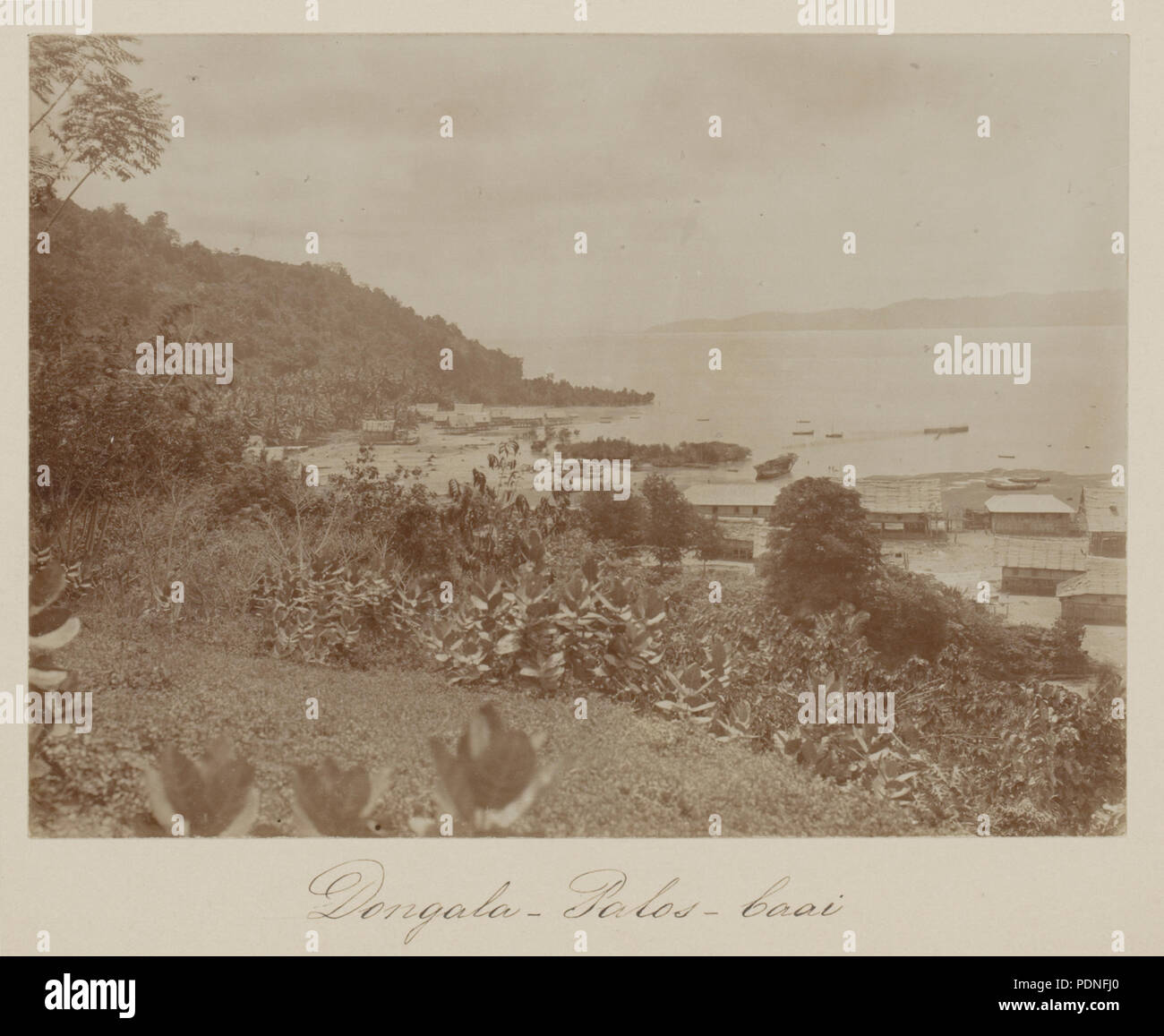 363 UvA-BC 300.064 - Siboga - Dongala-Palos Baai Stock Photo - Alamy