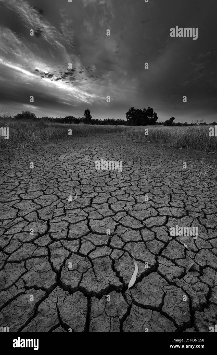 PADDOCK IN DROUGHT Stock Photo - Alamy