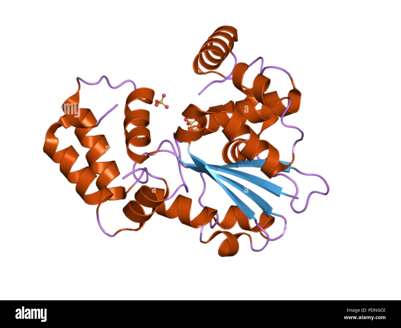 223 PDB 2ovb EBI Stock Photo - Alamy