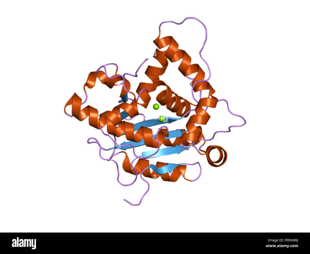 Pharmaceutical genetics Cut Out Stock Images & Pictures - Alamy