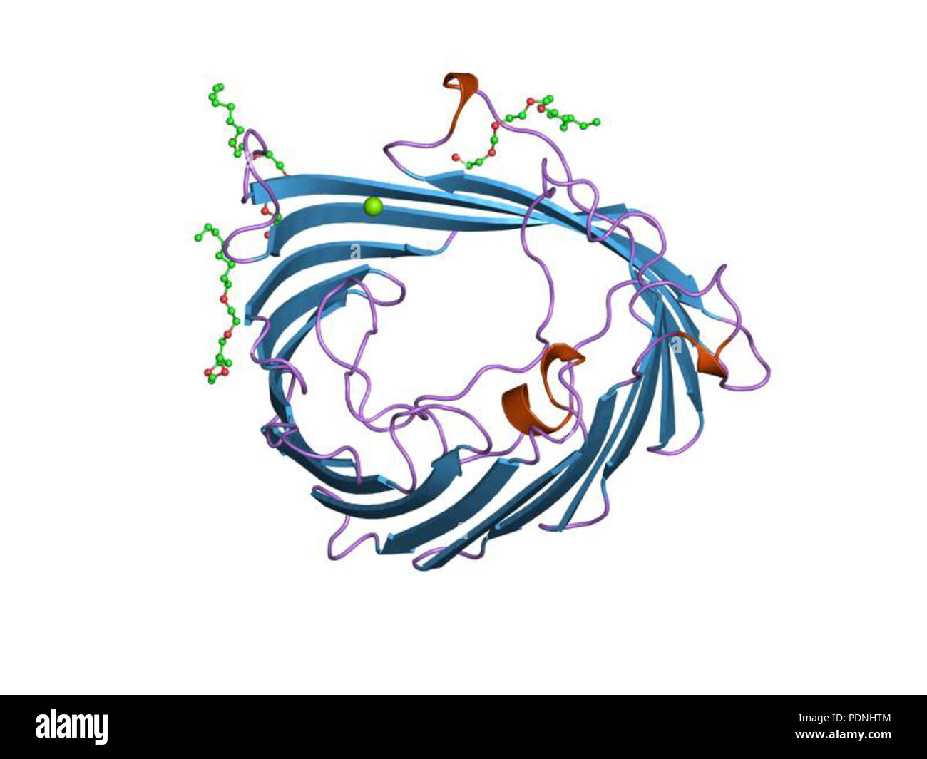 Entry 229 hi-res stock photography and images - Alamy