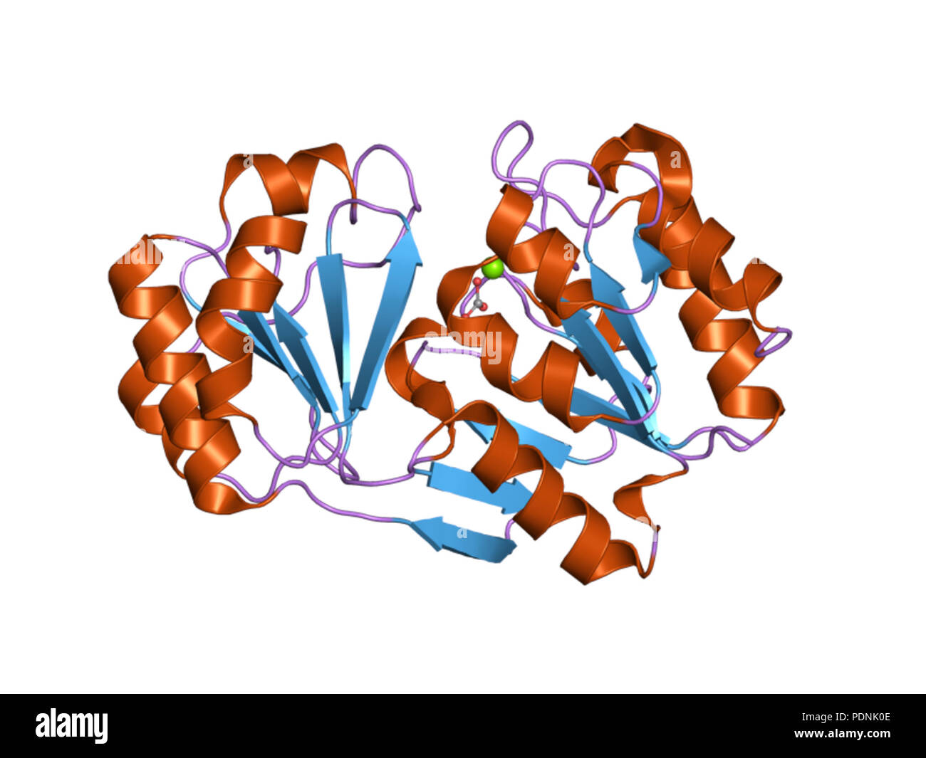 2rar hi-res stock photography and images - Alamy