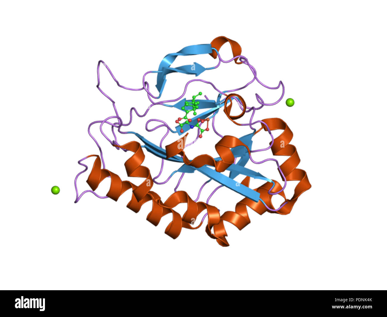 Reporting driven Cut Out Stock Images & Pictures - Alamy