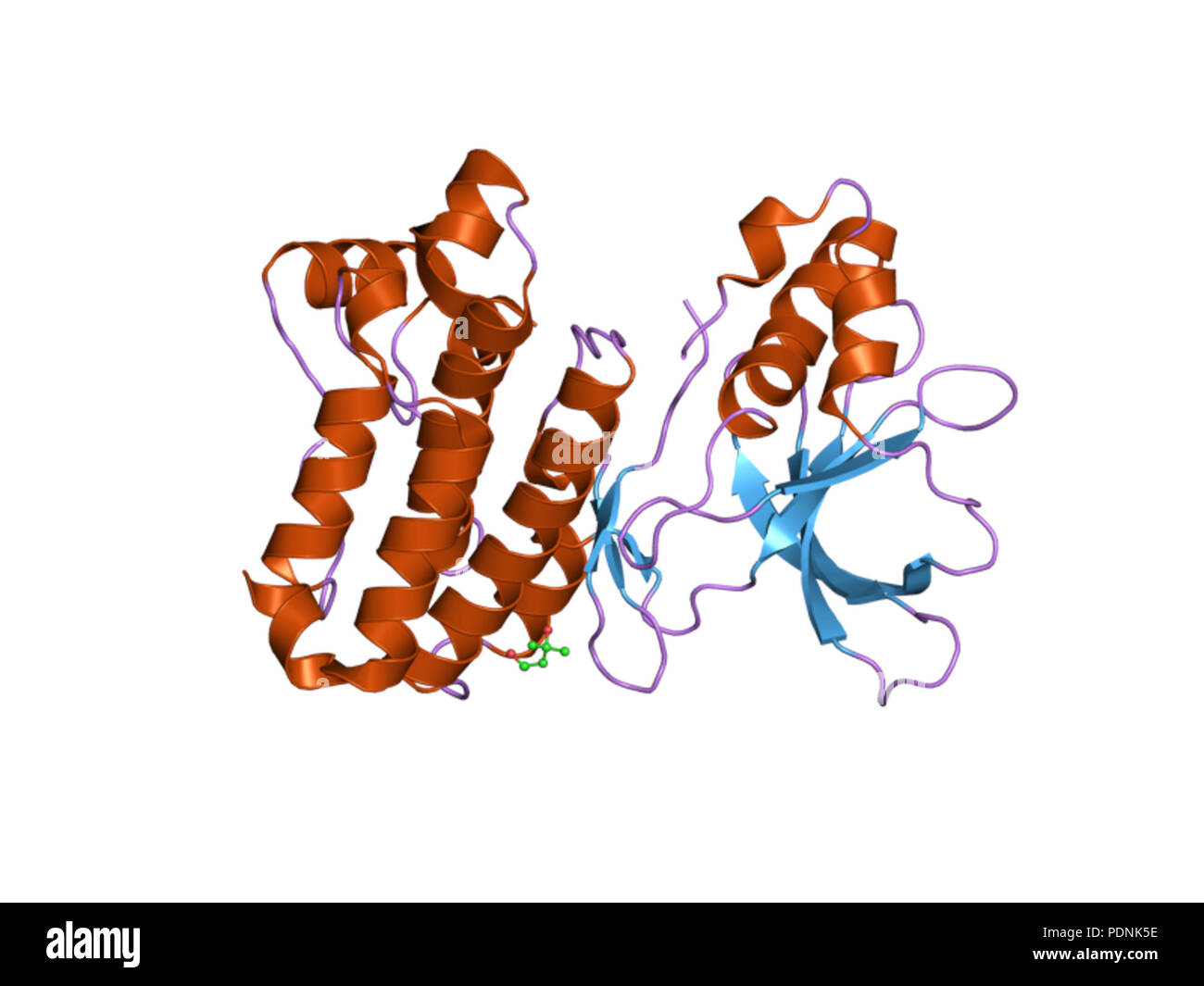 2rei hi-res stock photography and images - Alamy