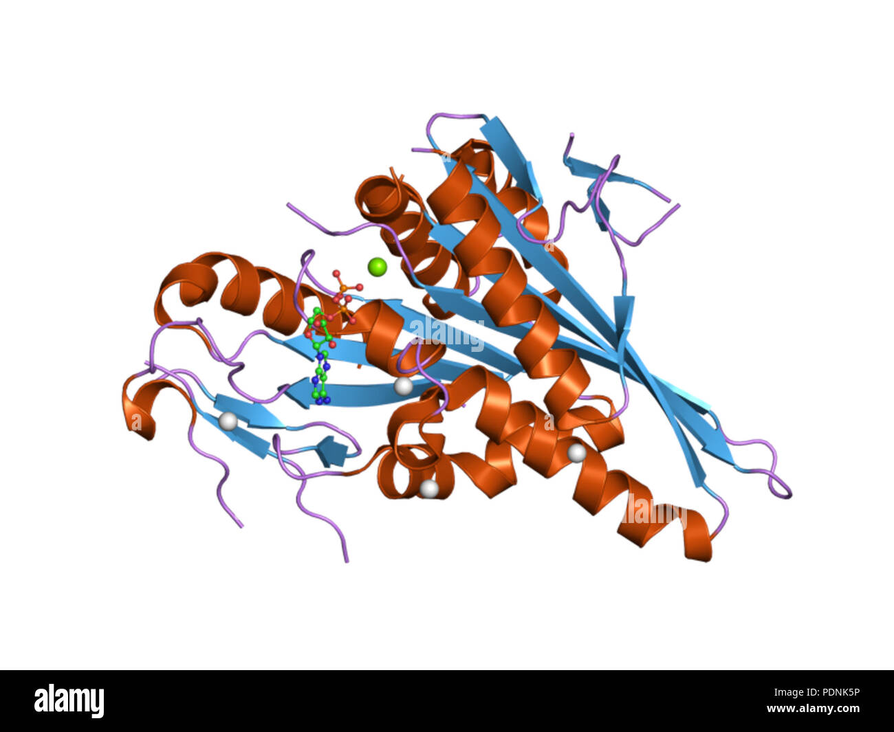 2rep hi-res stock photography and images - Alamy