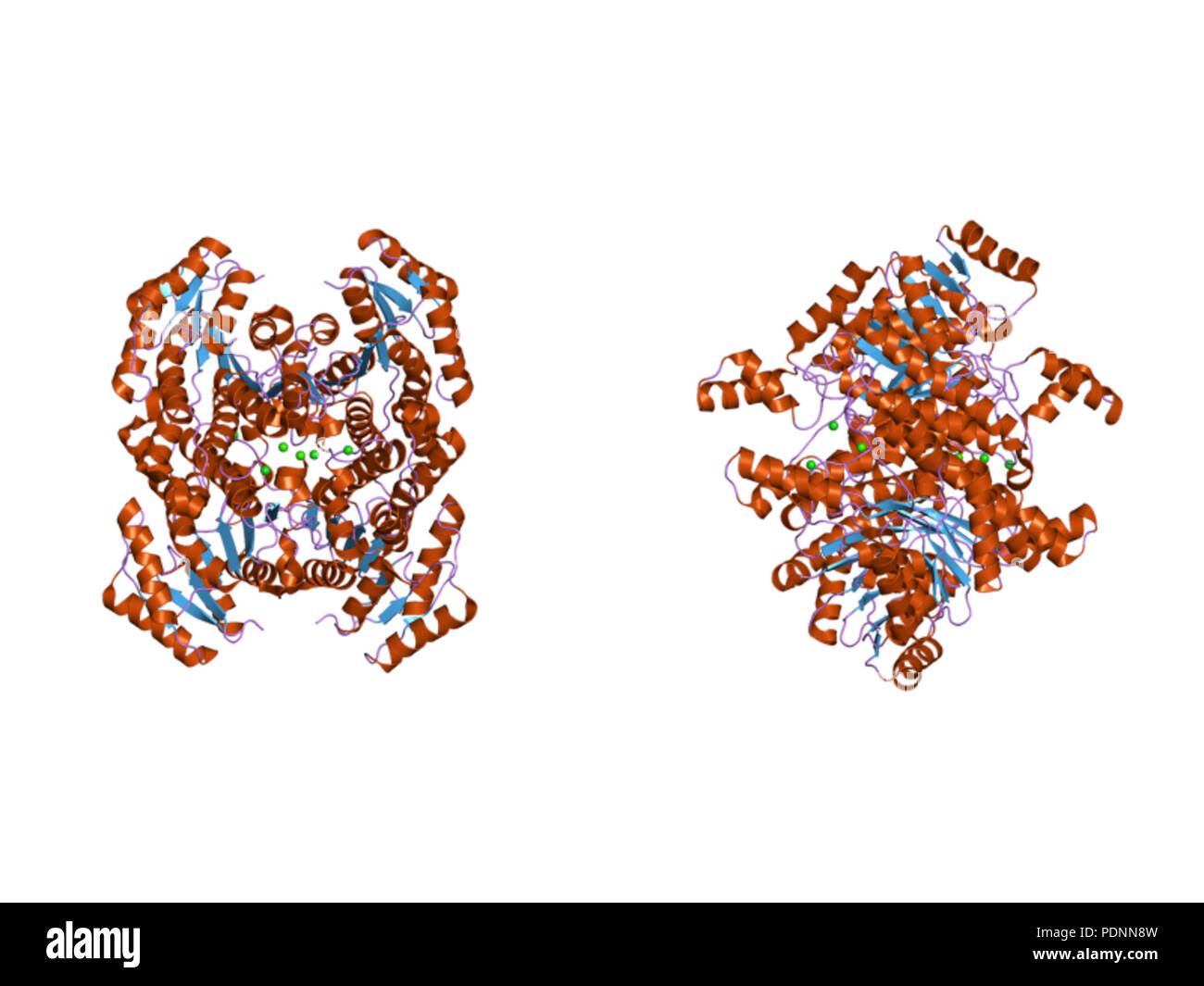 Biophysical experiments hi-res stock photography and images - Alamy