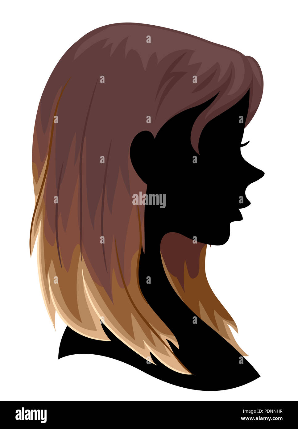Illustration of a Girl Silhouette with Ombre Hair Stock Photo - Alamy