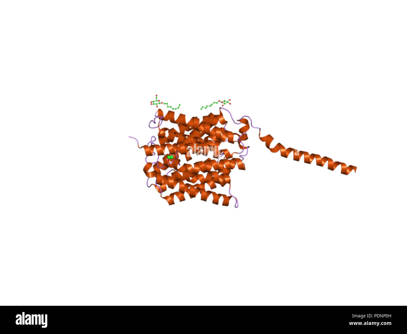 As 258 Cut Out Stock Images & Pictures - Alamy