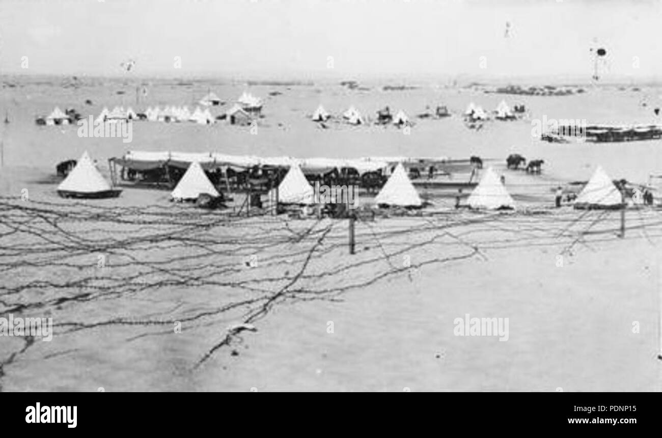 17 Australian camp near Romani circa 1916 AWM photo A02435 Stock Photo ...