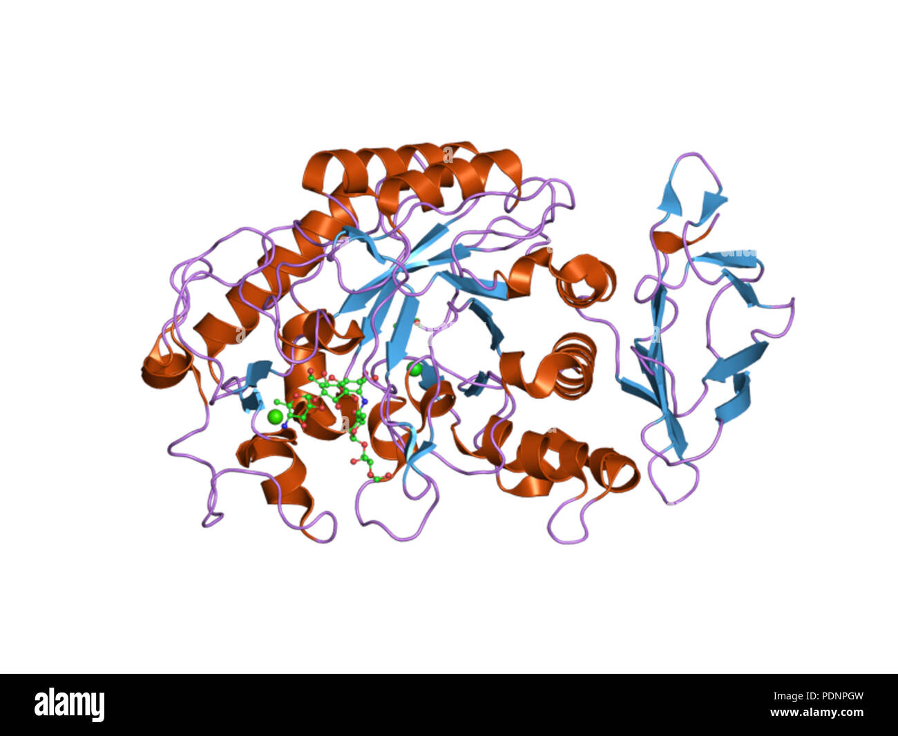 260 PDB 3blp EBI Stock Photo - Alamy