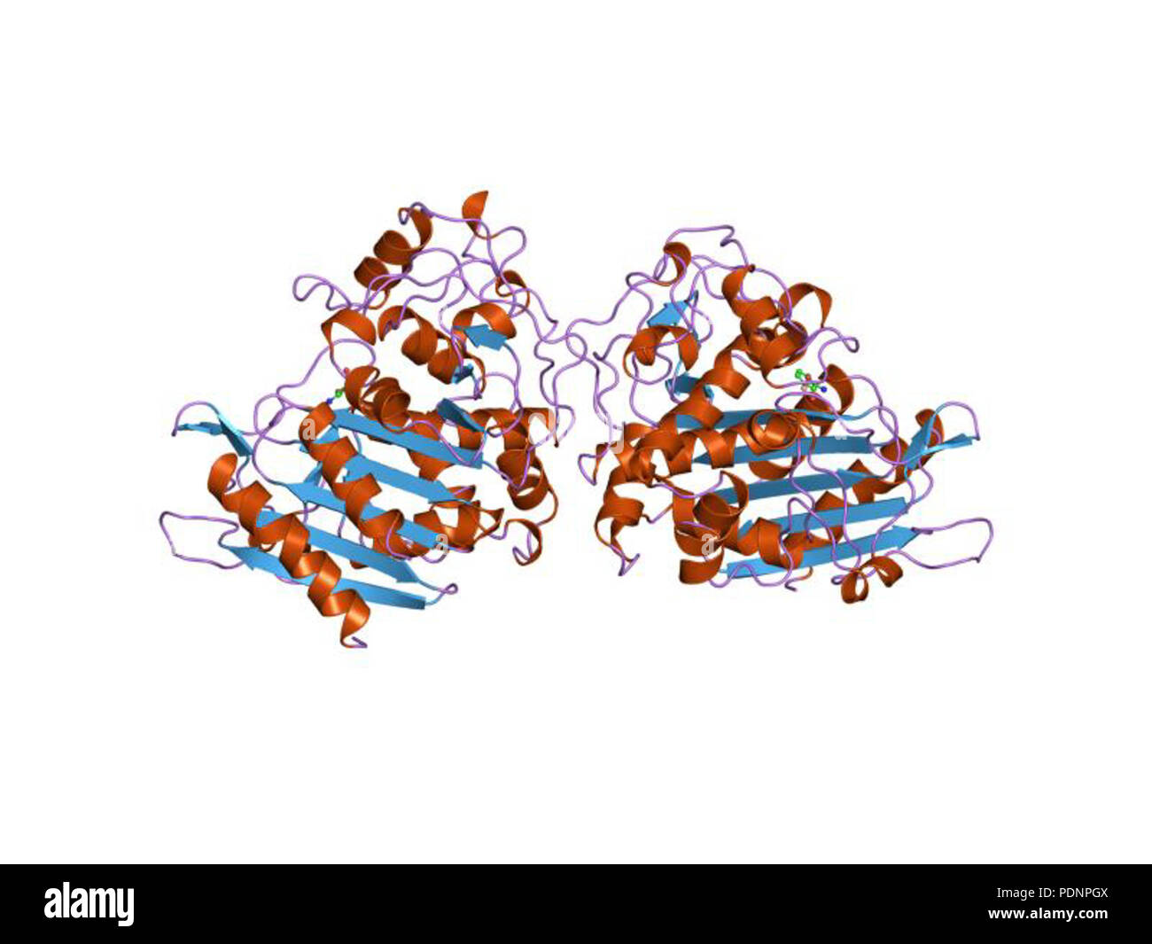 260 PDB 3bls EBI Stock Photo - Alamy